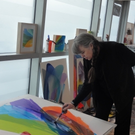 Barbara Januszkiewicz - McLean Project for the Arts