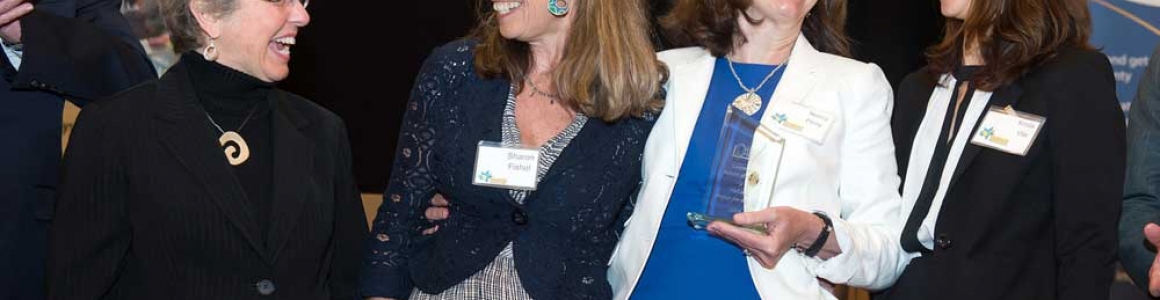 MPA Receives FCPS Blue Ribbon Award - McLean Project for the Arts