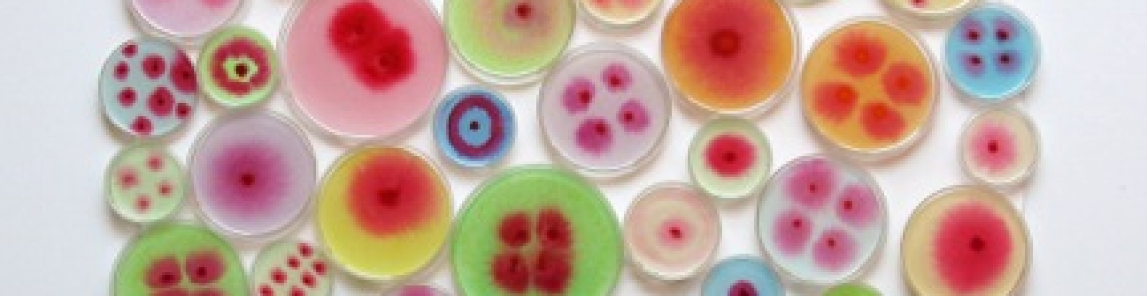 Michele_Banks - McLean Project for the Arts