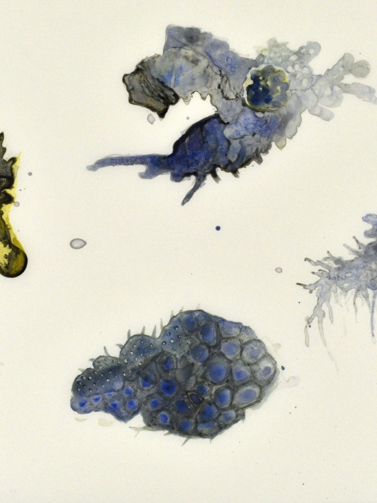 Yuriko Yamaguchi: Paintings - McLean Project for the Arts